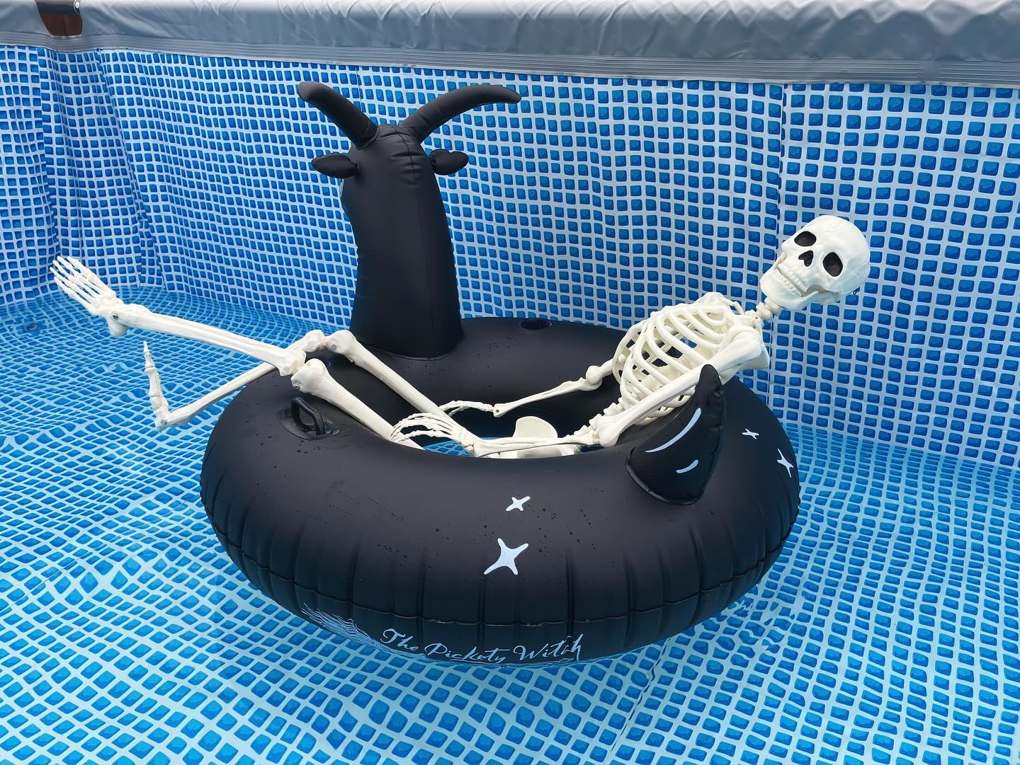 Black Phillip Goat Pool Float - "Swim Deliciously" – The Pickety Witch